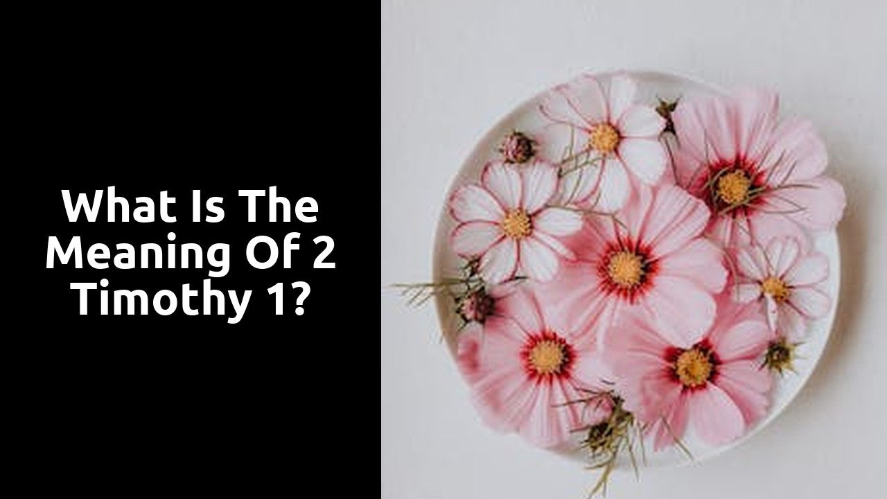 What Is The Meaning Of 2 Timothy 1? | Ministry Answers