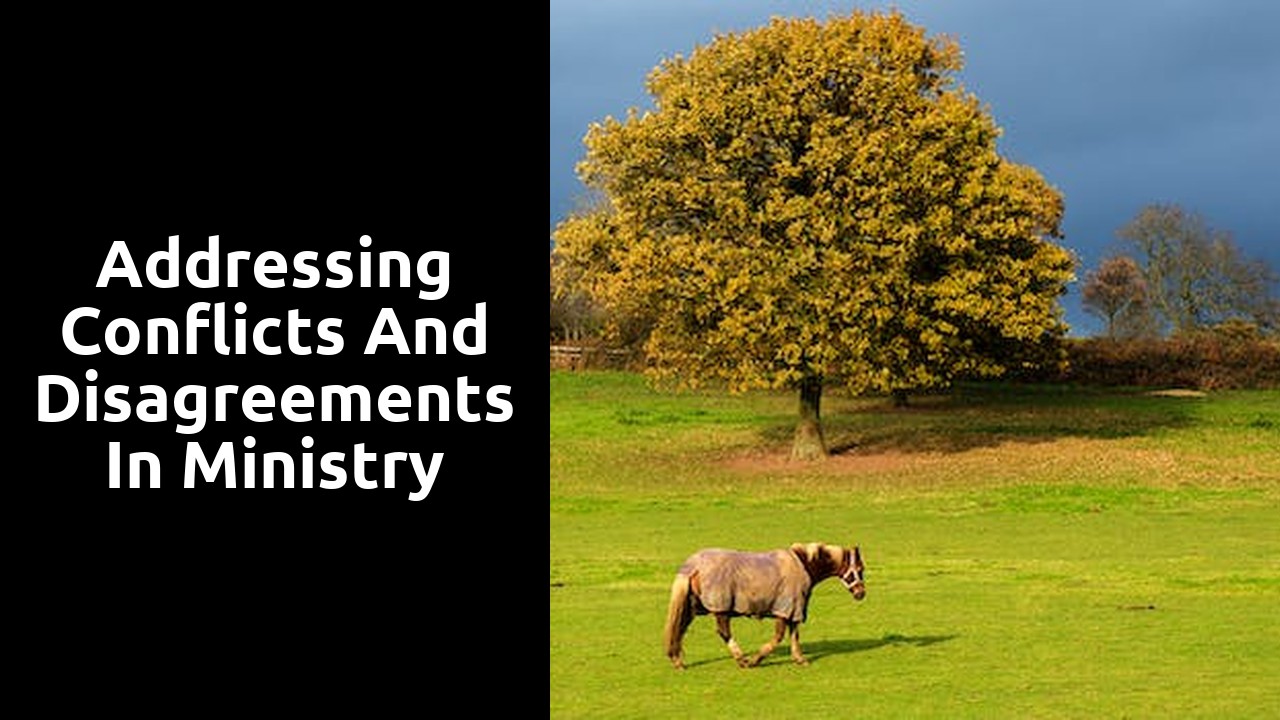 Addressing Conflicts And Disagreements In Ministry | Ministry Answers