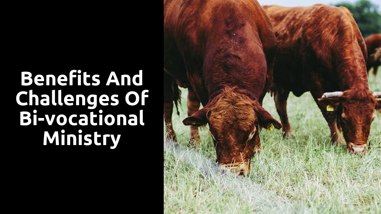 Benefits And Challenges Of Bi-vocational Ministry | Ministry Answers