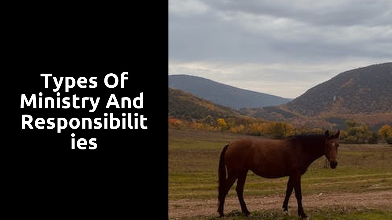 Types Of Ministry And Responsibilities | Ministry Answers