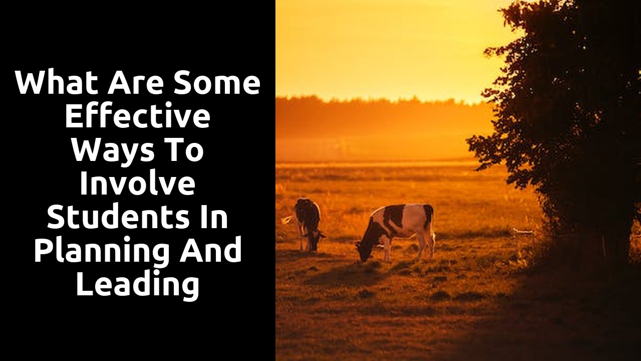 What Are Some Effective Ways To Involve Students In Planning And ...