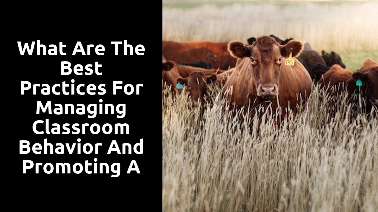 What Are The Best Practices For Managing Classroom Behavior And ...