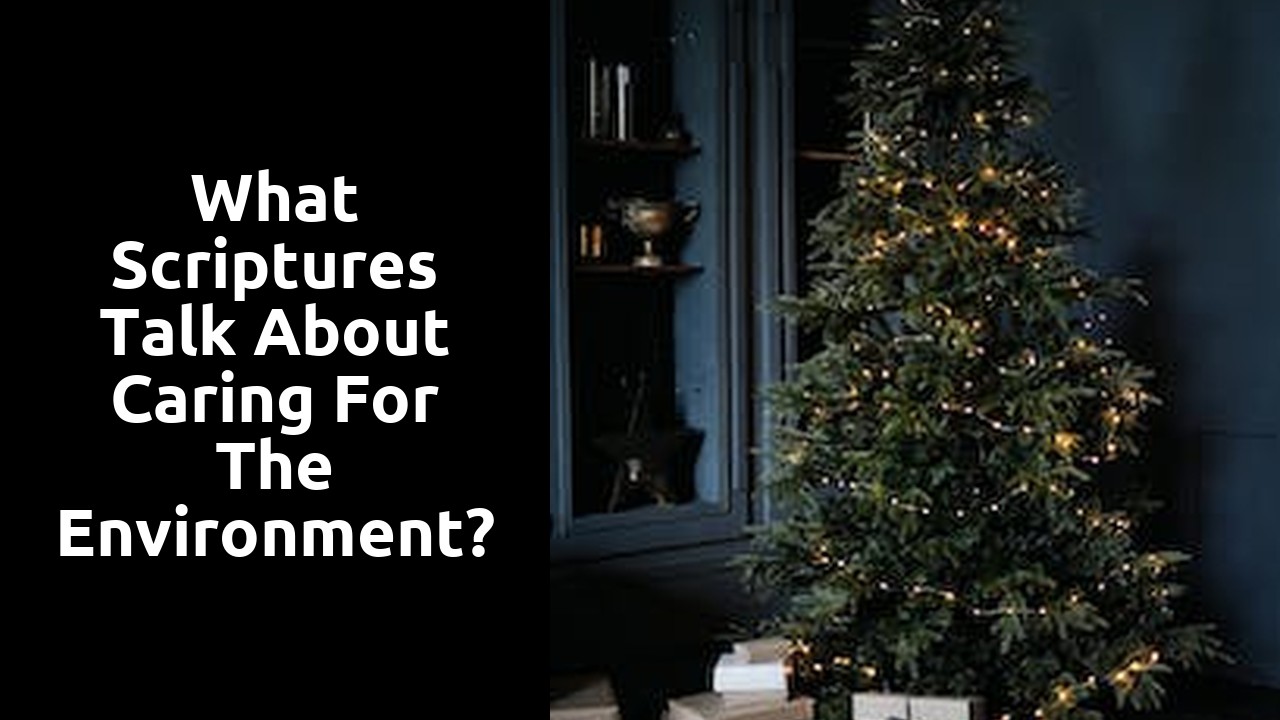 What Scriptures Talk About Caring For The Environment? | Ministry Answers