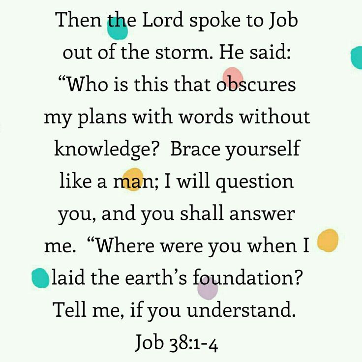 Job 38:1-7, (34-41) Reflection, Meaning, and Prayer