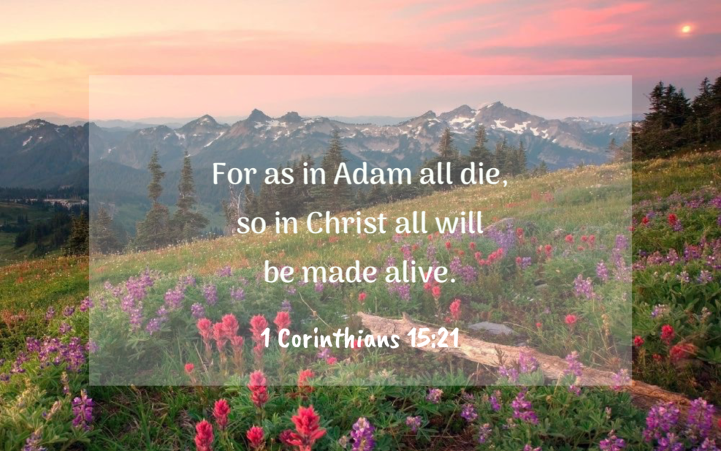 How Adam's Sin Entered the World?