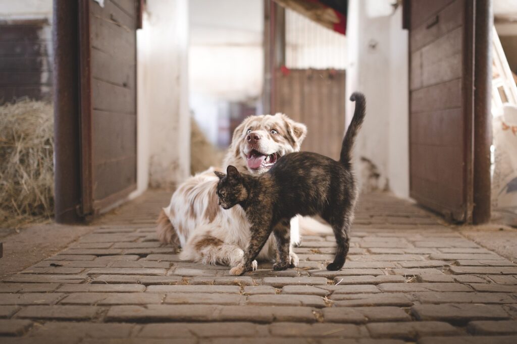 Pets in the Bible: A Limited Perspective (Genesis 1:21)